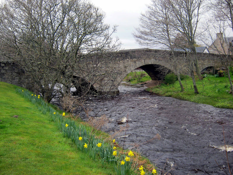 walking the rainbow trail: Nethy Bridge revisited