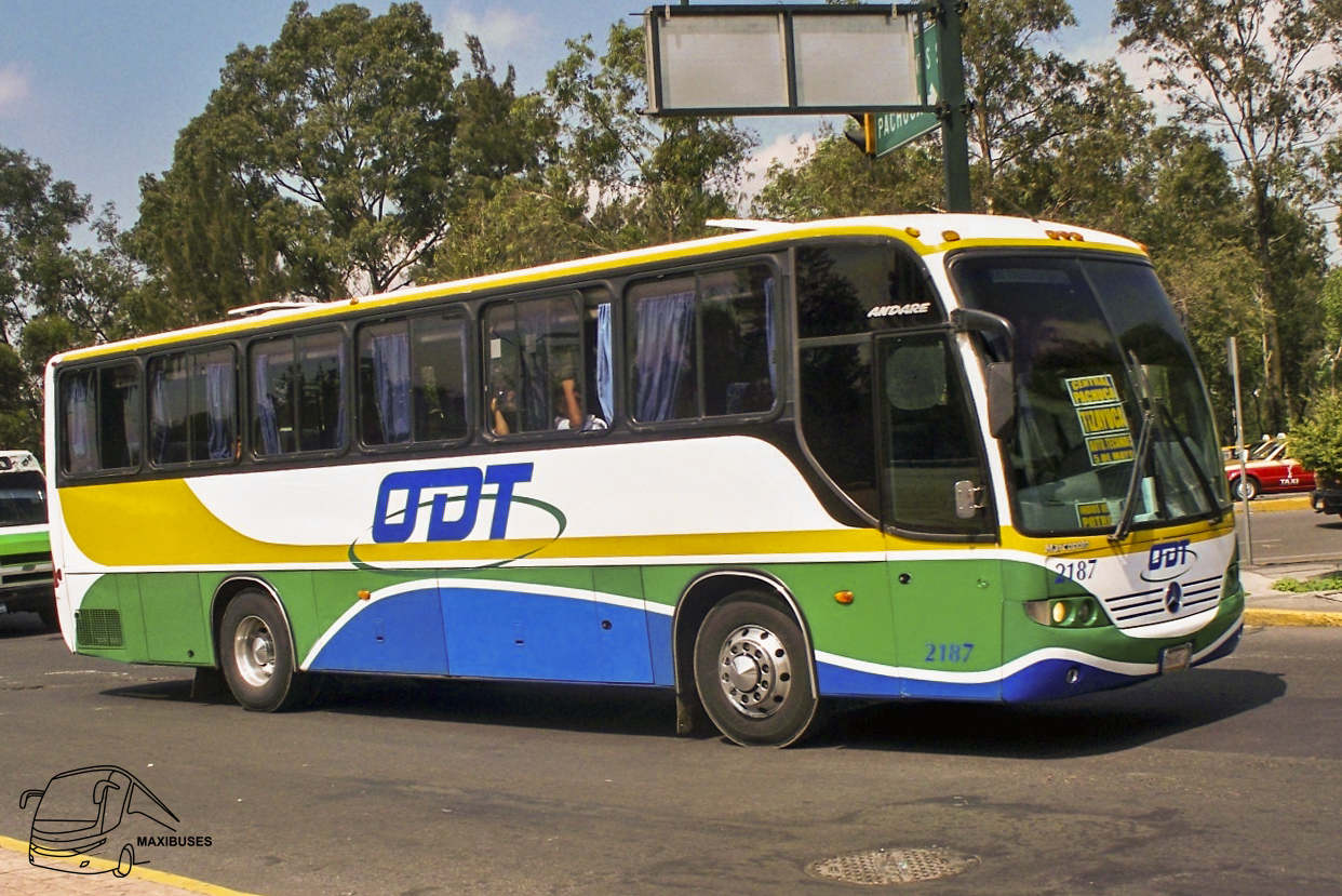 MAXIBUSES: OMNIBUS DE TIZAYUCA - ODT