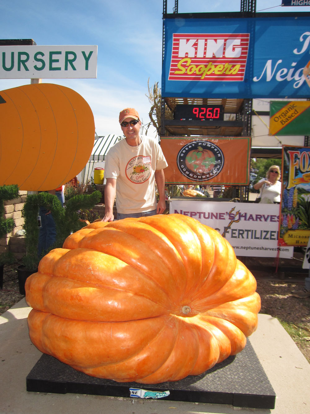 Giant Pumpkin Growing Tips From The Pumpkin Man: A New Personal Best ...