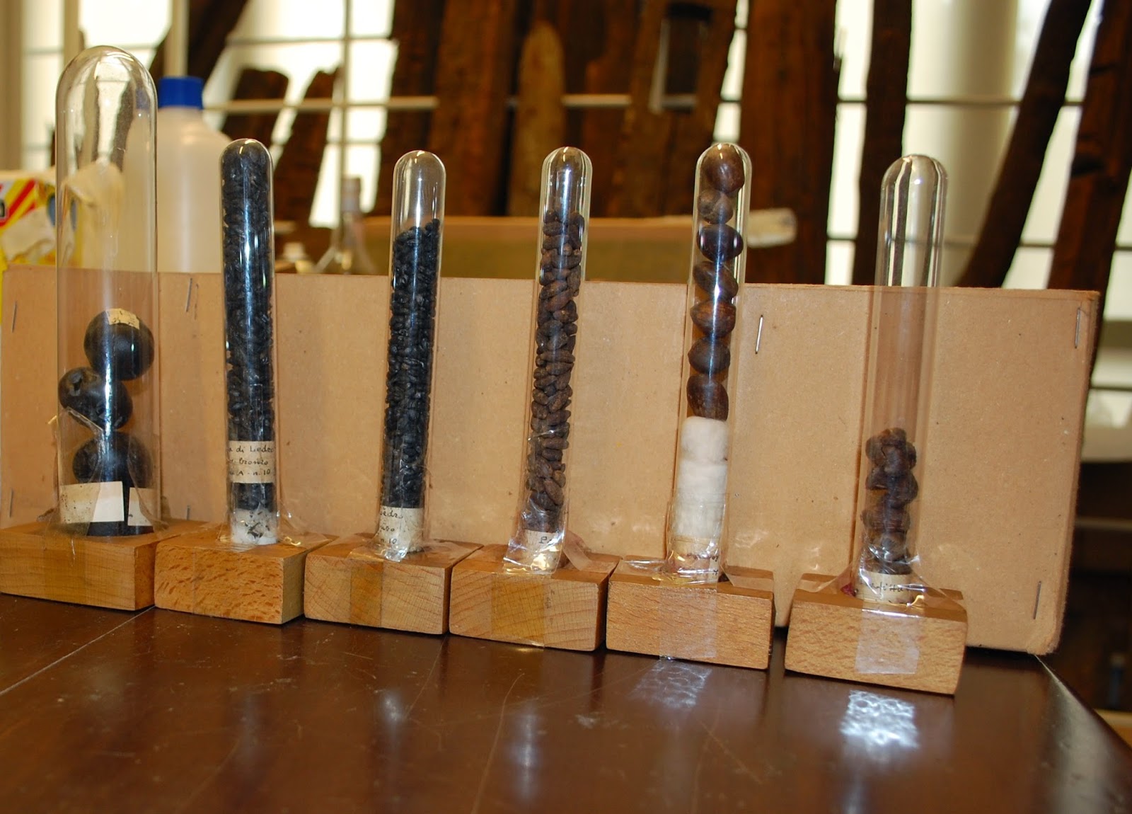 ATOR: Archaeobotany: identification of vegetal macro remains from ...