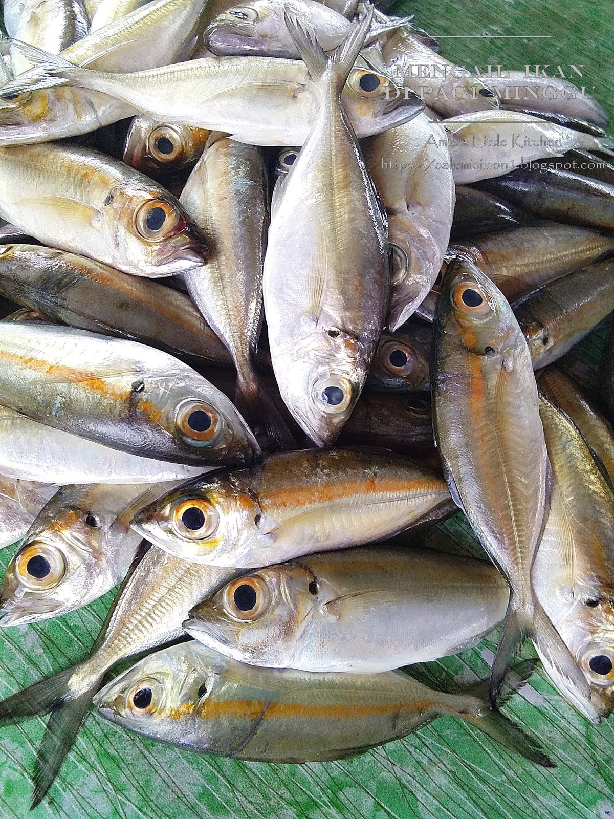 Mengail Ikan di Pagi Minggu - Amie's Little Kitchen