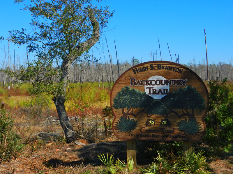 Where's Eldo?: Catman Road Trail...