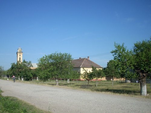 TIMISOARA EXPRESS: 2011-10-02