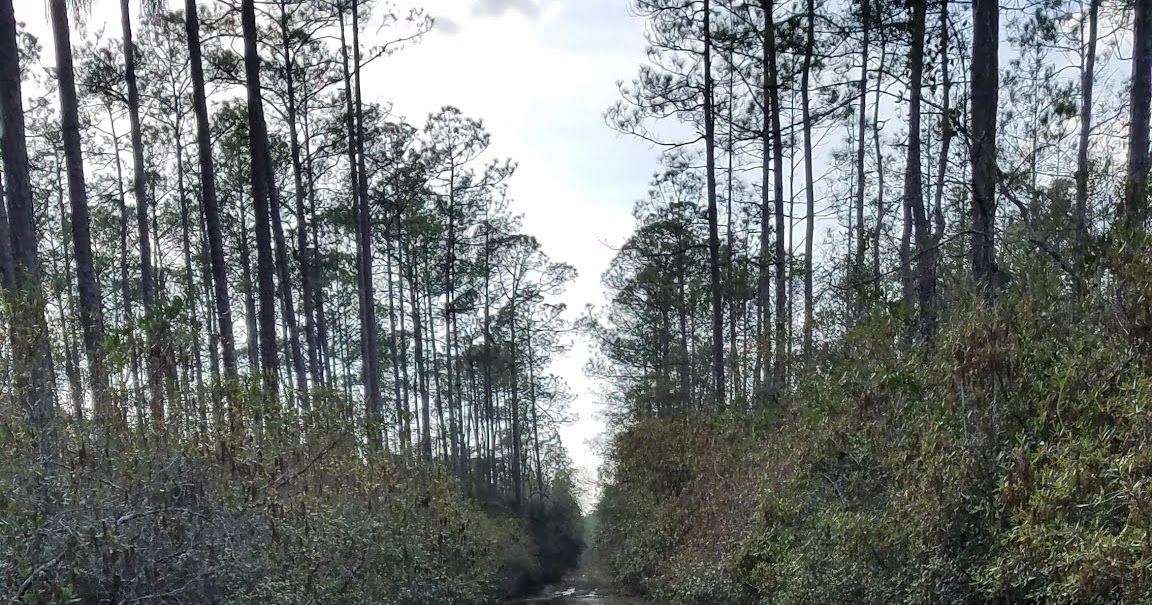 Northeast Florida ADV and Motorcycle Tours: Adventure Series: Cary ...