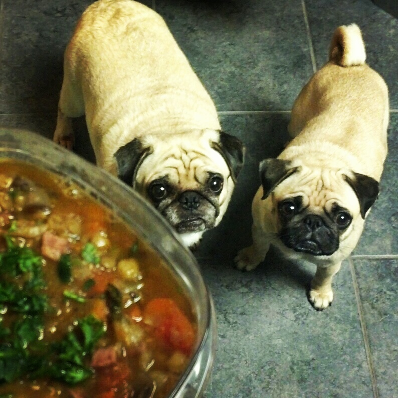 Grubbin' Pugs: About Grubbin' Pugs