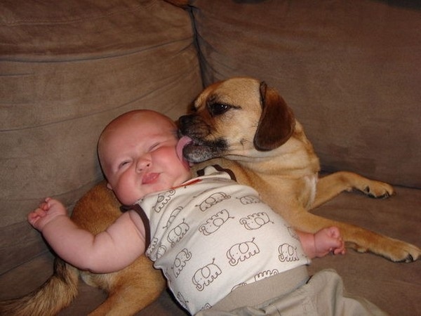 Adorable kids and their pets (25 pics) | Amazing Creatures