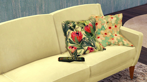 TV Remote Controller ~ Nathys Sims