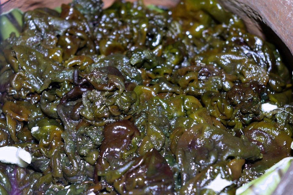 a feast of ilokano food exotica... ~ PINAKBET REPUBLIC