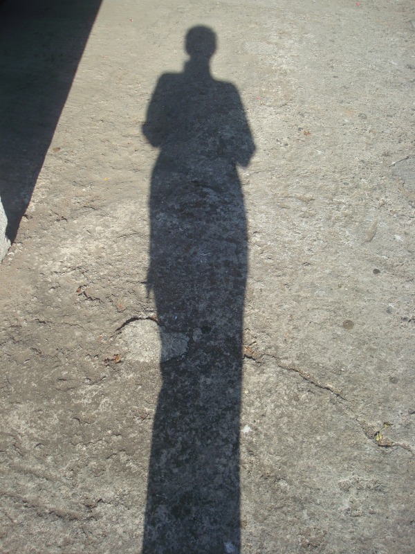 Strewn Ashes: Standing Tall.....