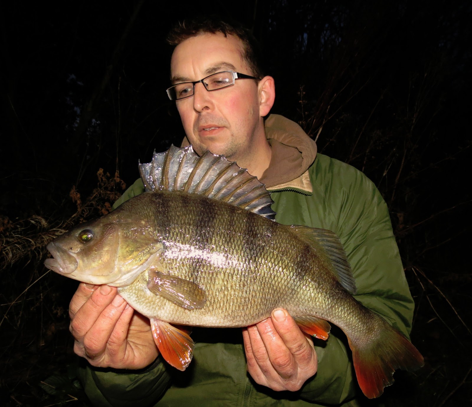 A Specialist Anglers Diary: Big river perch - a dream come true