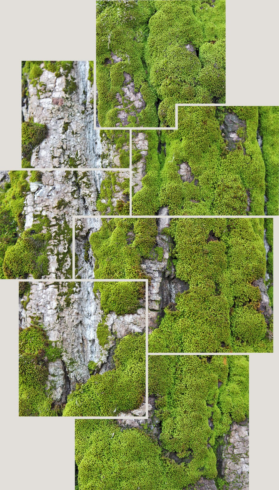 Las Miradas Enteras: La mousse