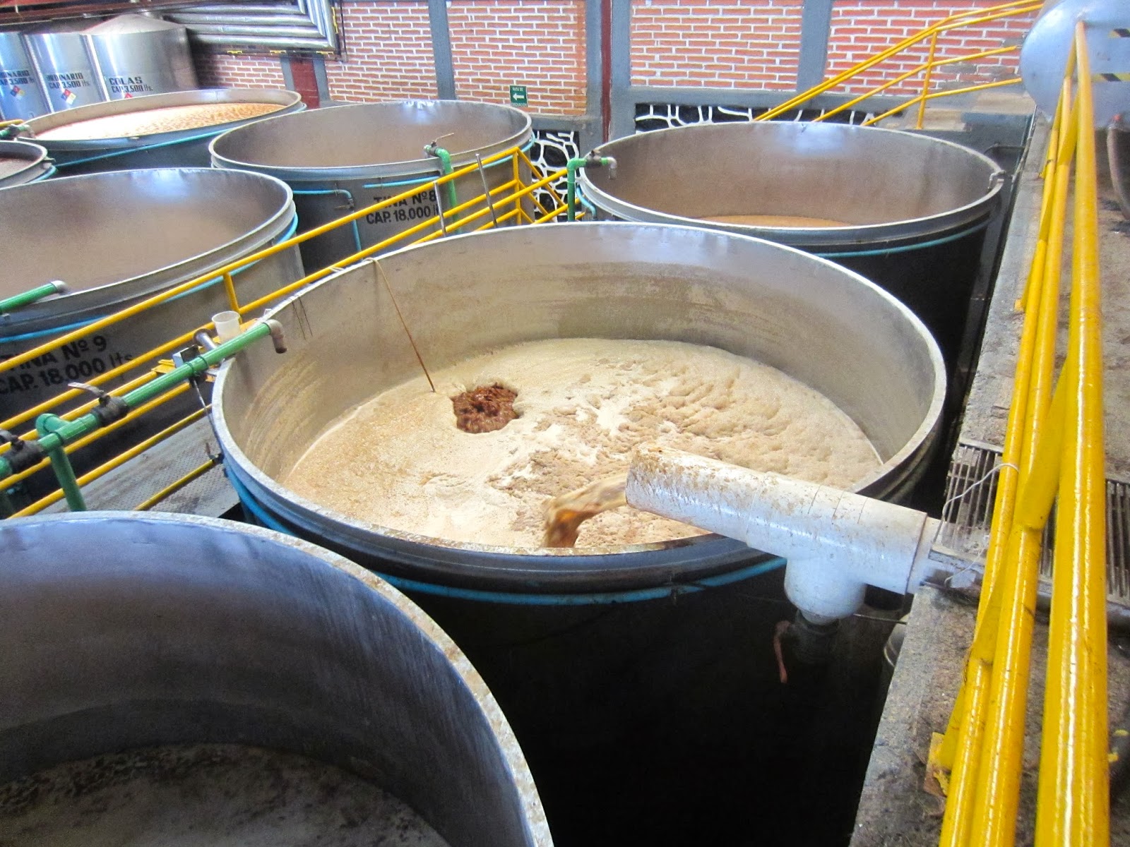 Agave Azul: Tequila!