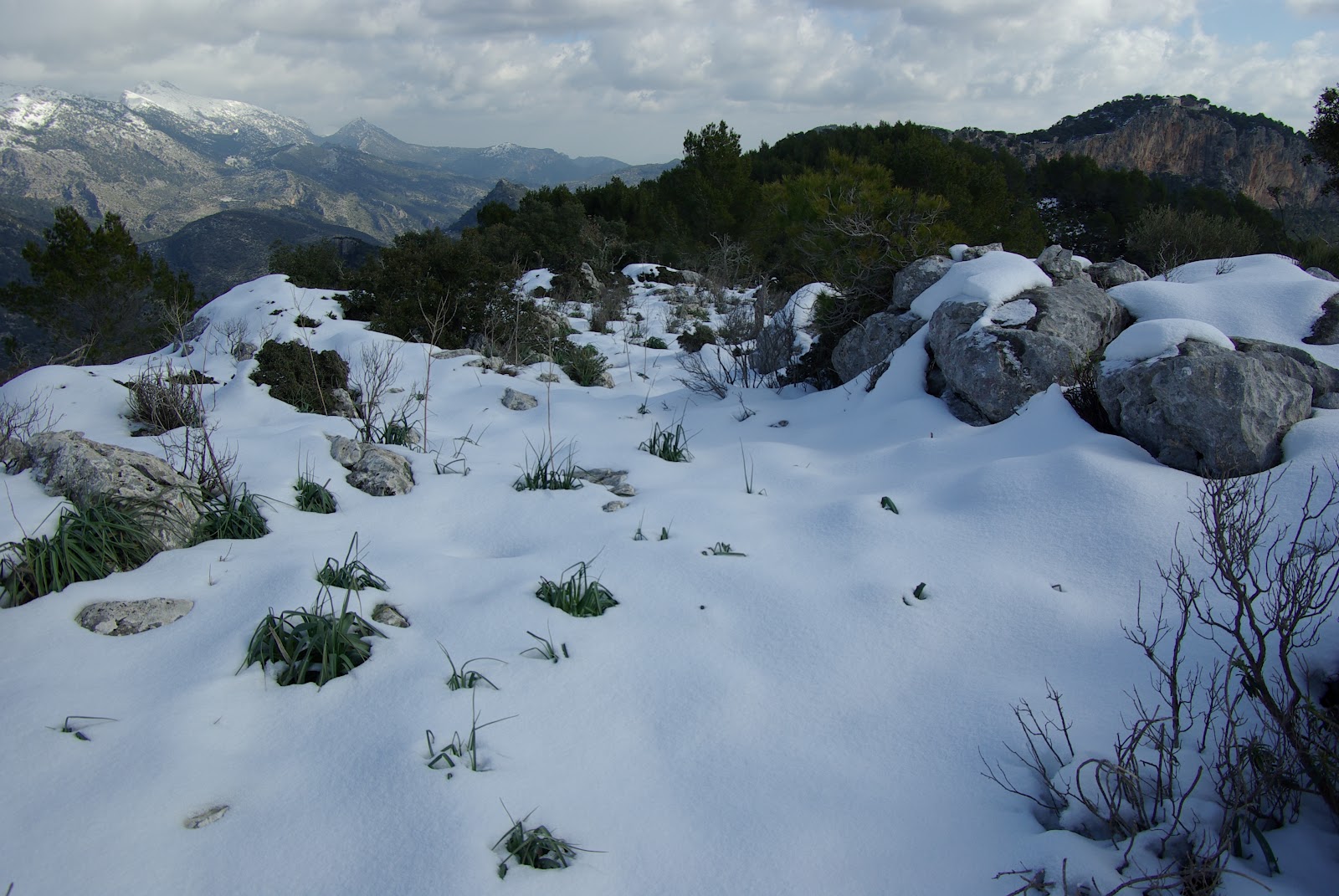 TRESQUES PER TRAMUNTANA: SA TALIA DE CAL REIS - PUIG DE CA´N LLENDERINA