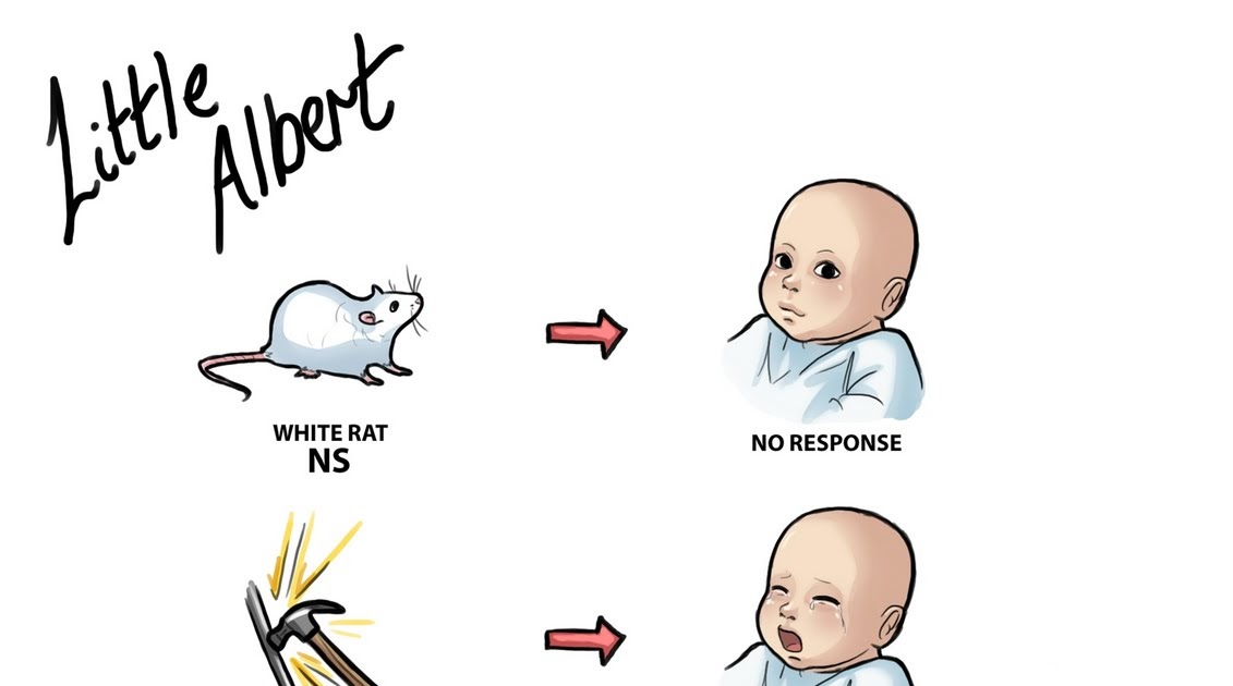 Sarah Weston: 21st February, 2011 Guest Blog: Little Albert