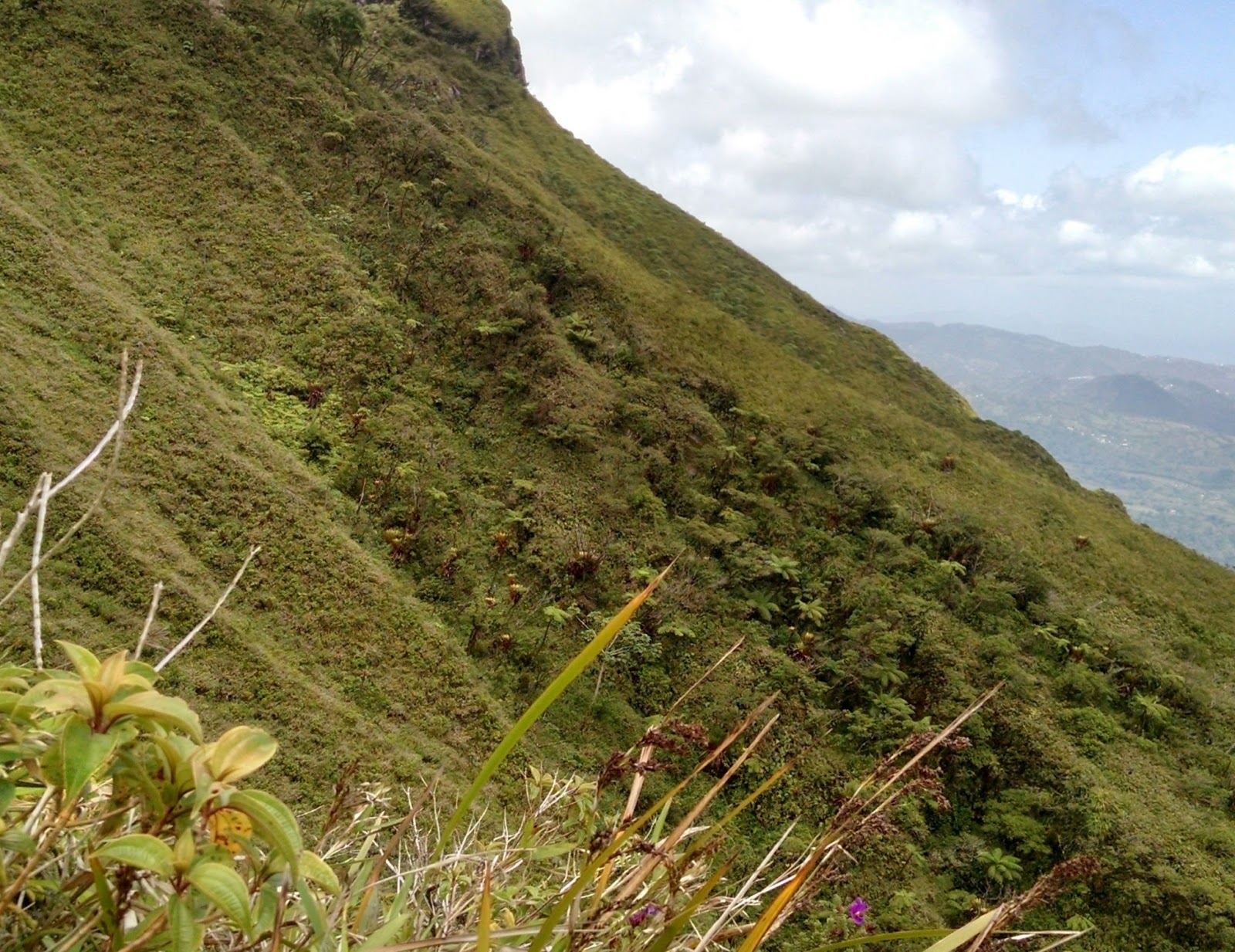 Close Quarters: Hiking Martinique: Mt. Pelee