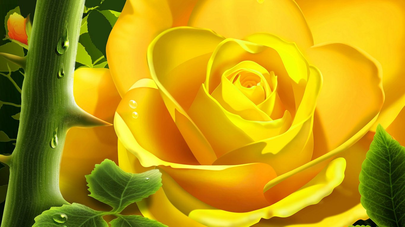 Yellow Rose Art | Wallpapers | Abstract Wallpapers | HD Wallpapers