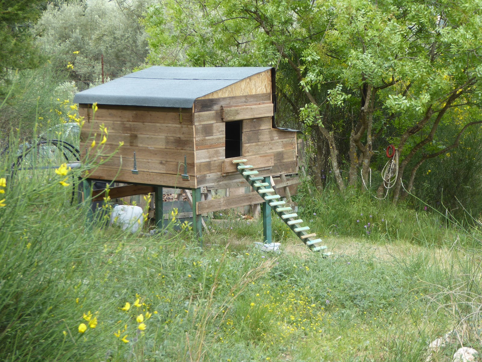 Cobbing Along: The Chicken Hut - building and positioning