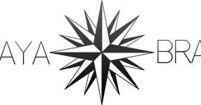 Crimen organizado y Violencia política: Mafia Rusa