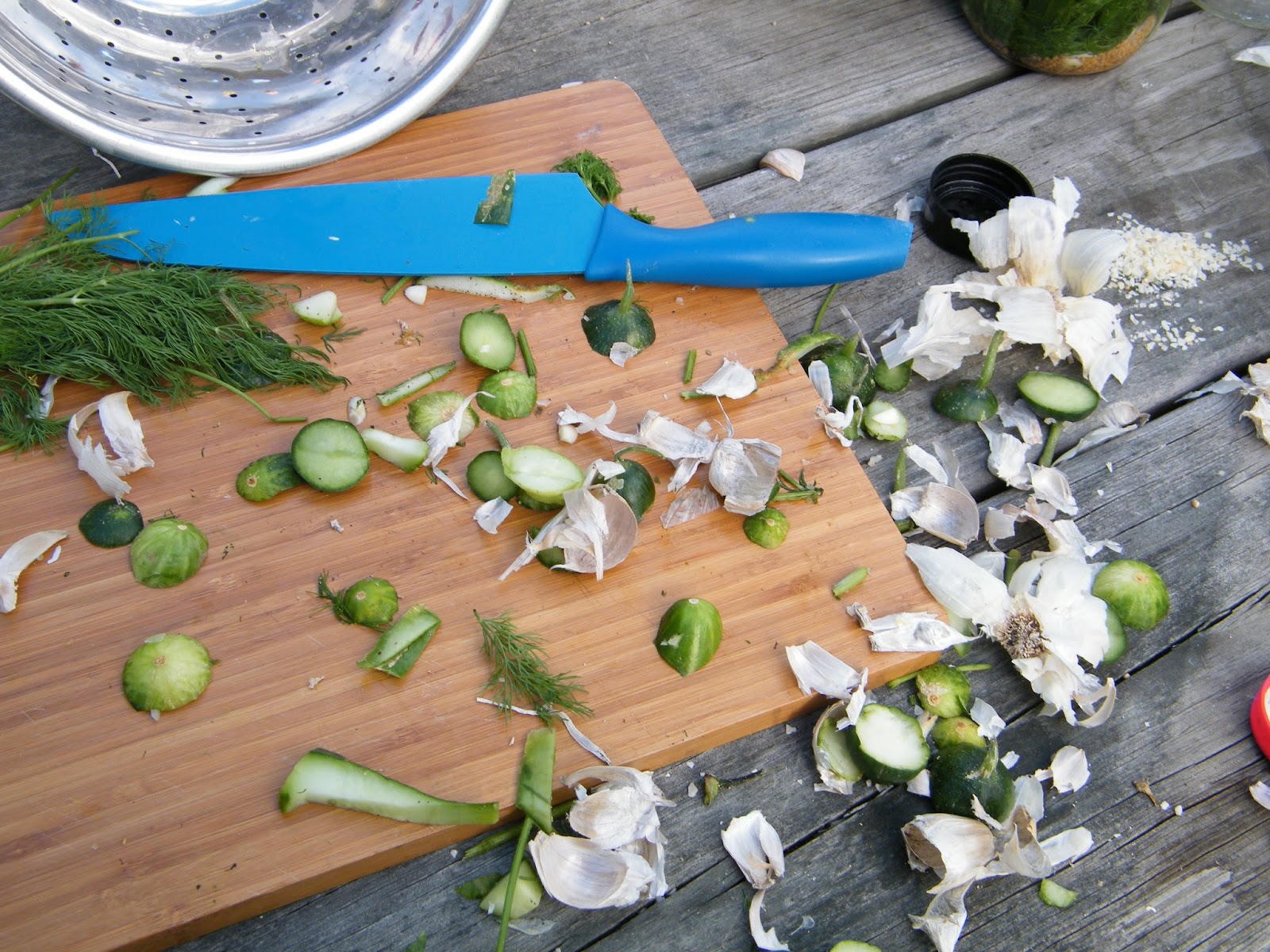 Veronica the Lazy Diva's Quasi-Crafty Blog: Waiting for my Sour Pickle ...