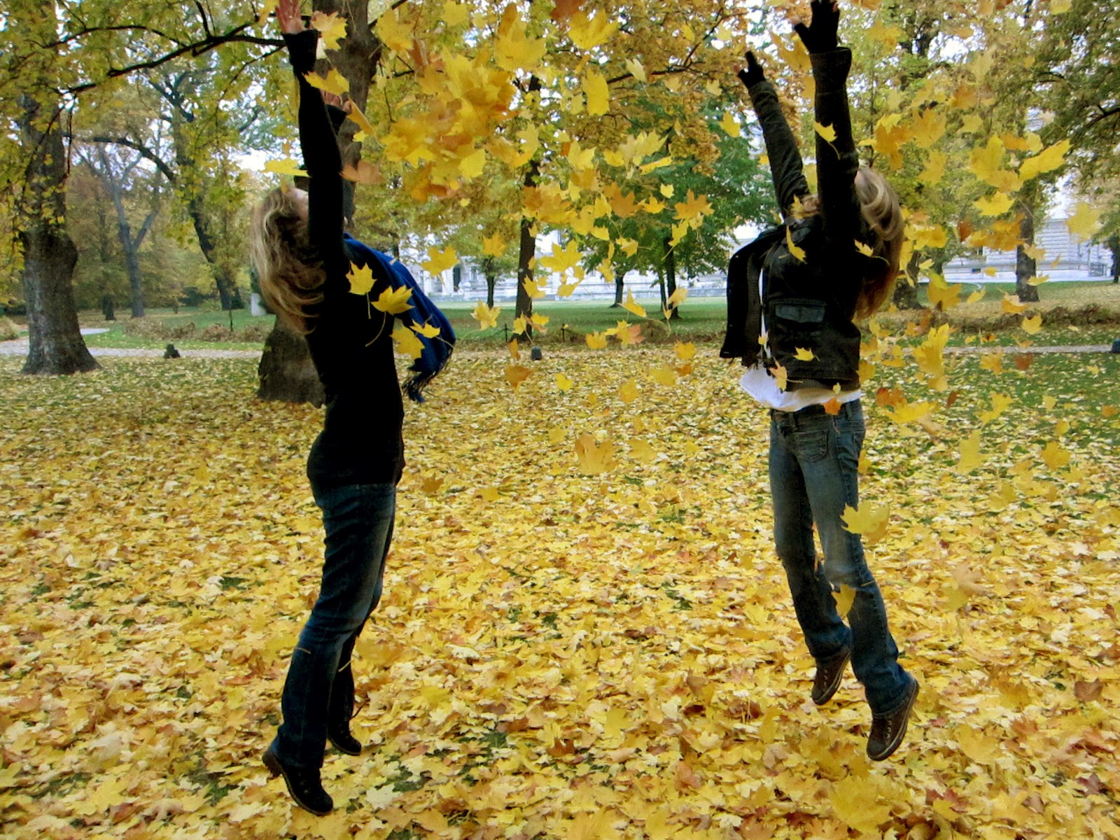 cakes on the beach: Laub Laub Laub