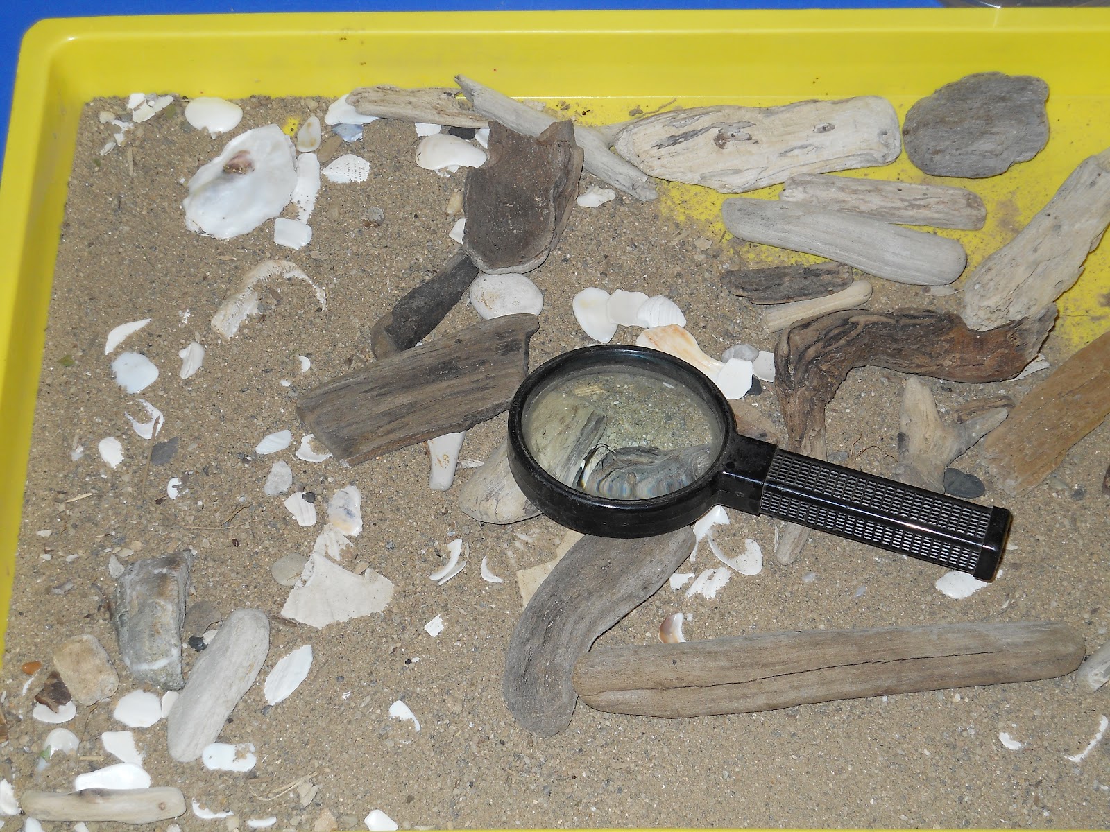 Learning and Teaching With Preschoolers: Exploration Trays