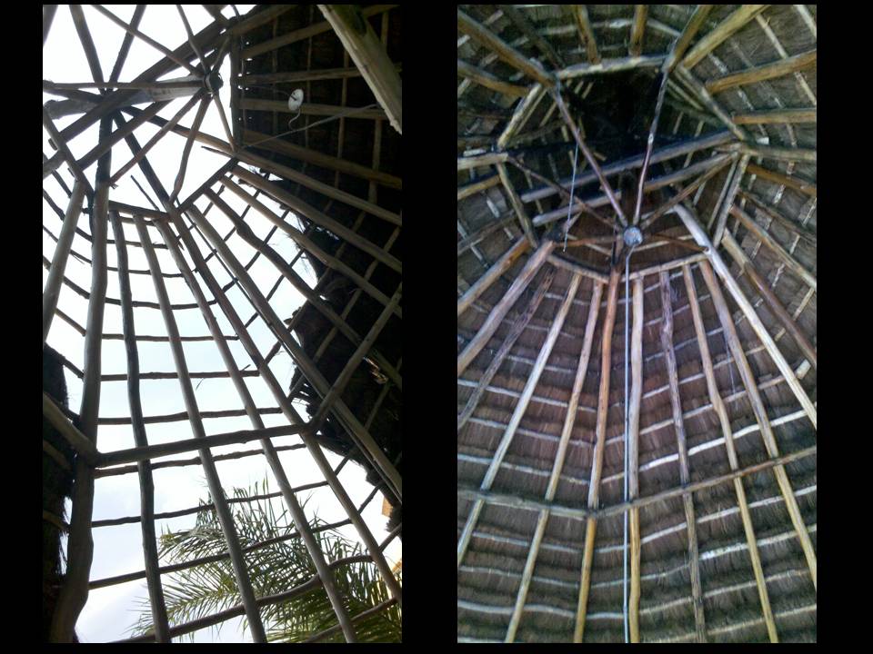 ARQUITECTURA INDÍGENA: REPARACION DE CHURUATA / HUT ROOF REPAIR