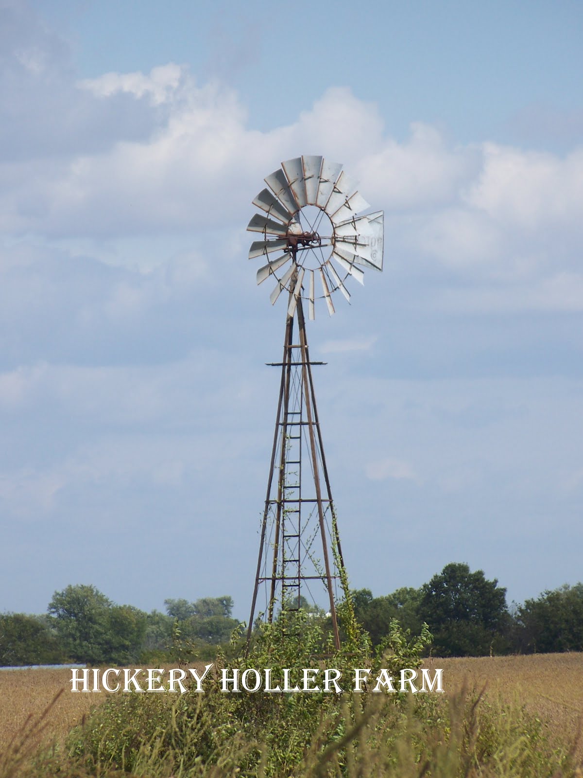 Hickery Holler Farm: A Glimpse Of What America Has Lost