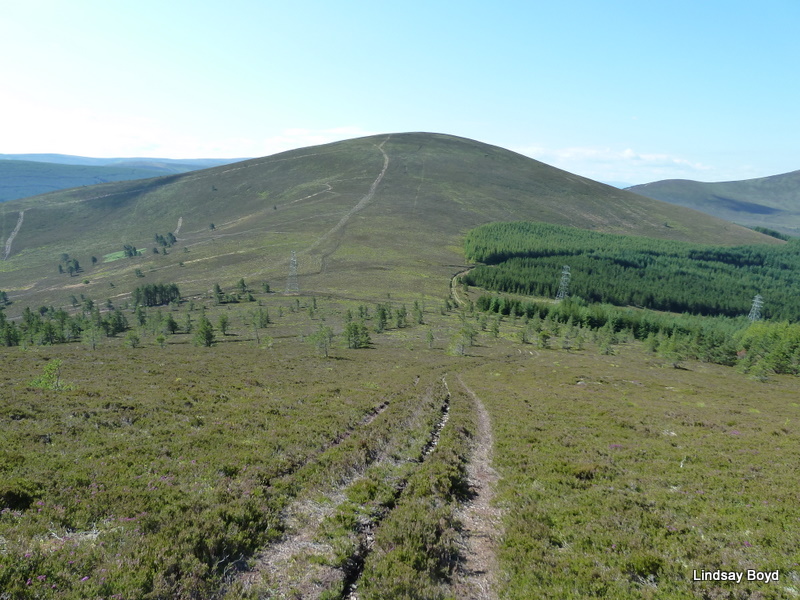 Caledonia Hilltreks Scottish Sub 2000 feet Hills: Little and Meikle ...