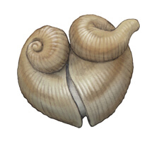 Mundo Pré-Histórico: Período Jurássico