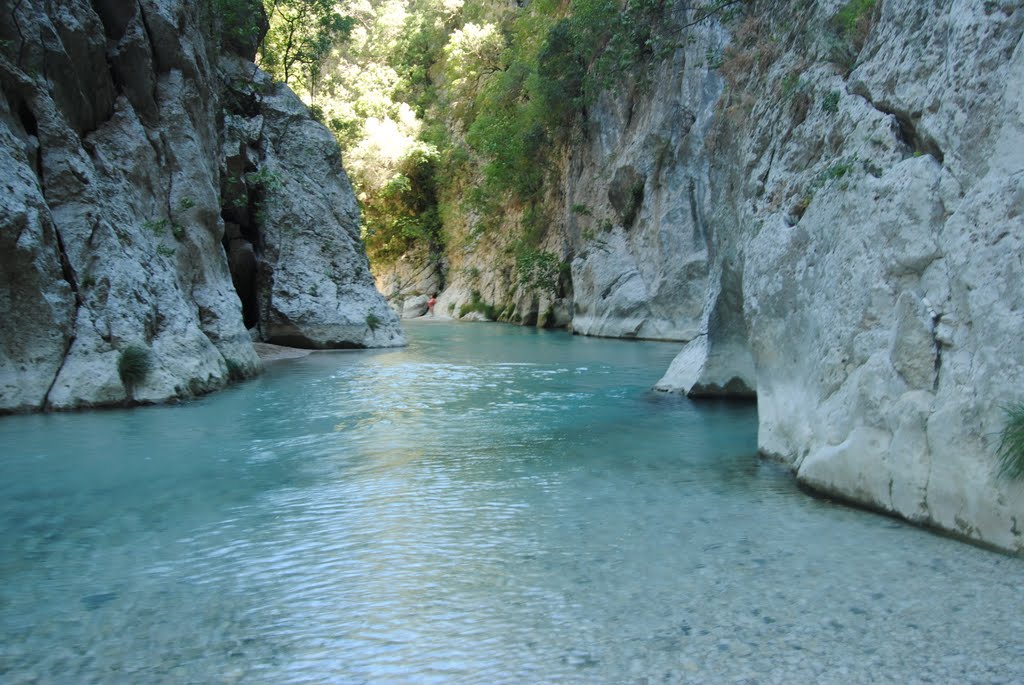 ΦΥΣΗ ΚΑΙ ΑΣΚΗΣΗ: Εκπαιδευτική εκδρομή στις Πηγές του Αχέροντα