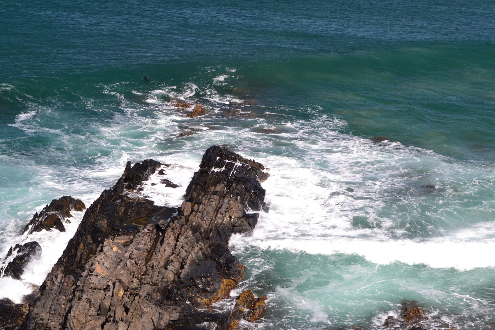 Goin' Feral One Day At A Time: Waitpinga Cliffs, Heysen Trail, Newland ...