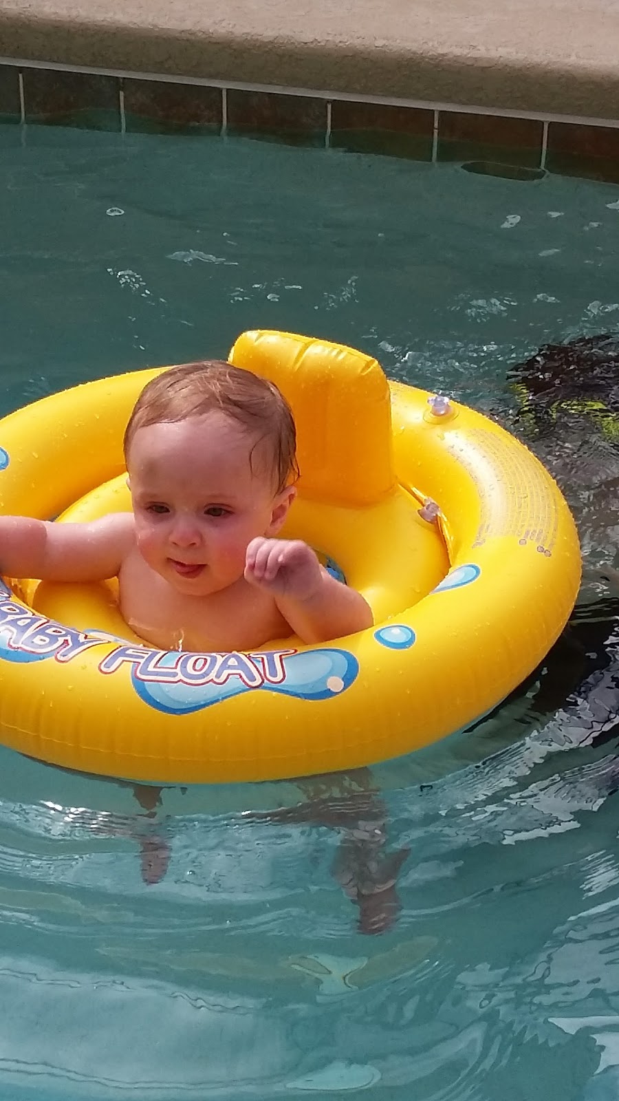 Andrew, Jonathan & Alexander: Pool Hopping