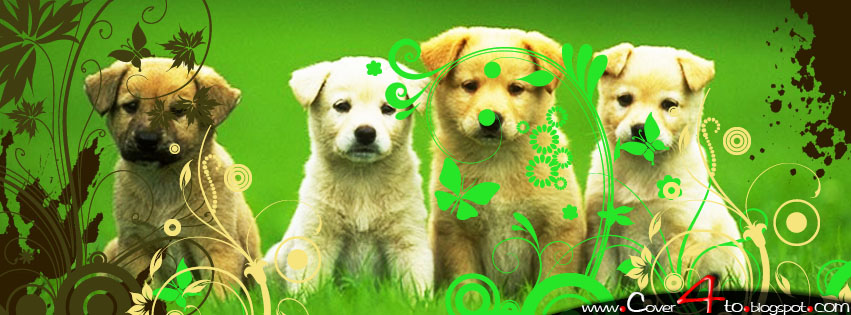 facebook cover photos: Lovely Pets