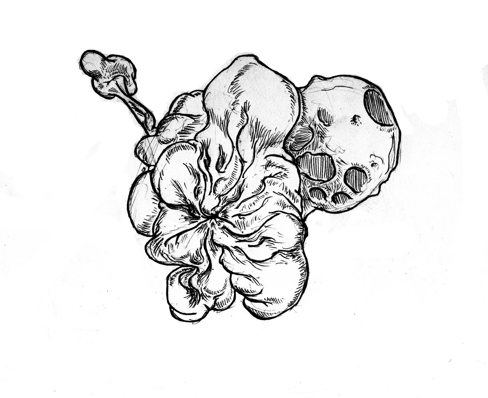 Lawrence Dodgson: January 2012