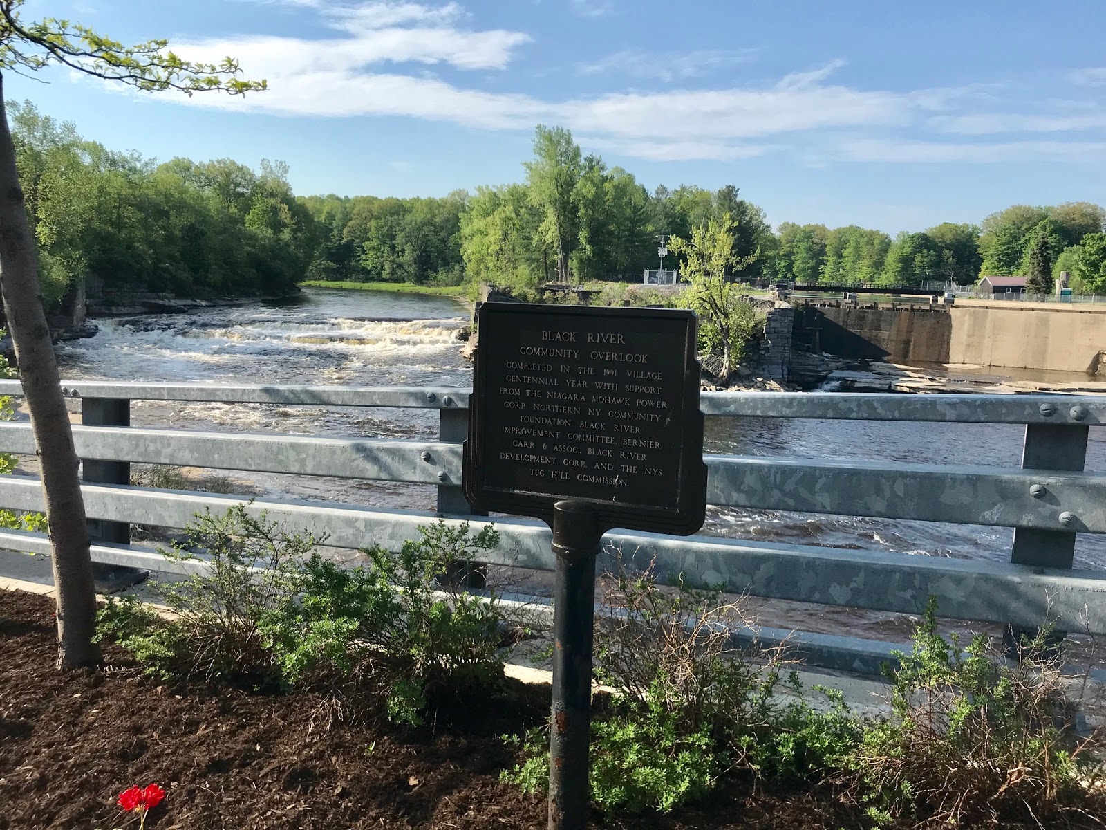 one final friday in black river - Loving Life Moore