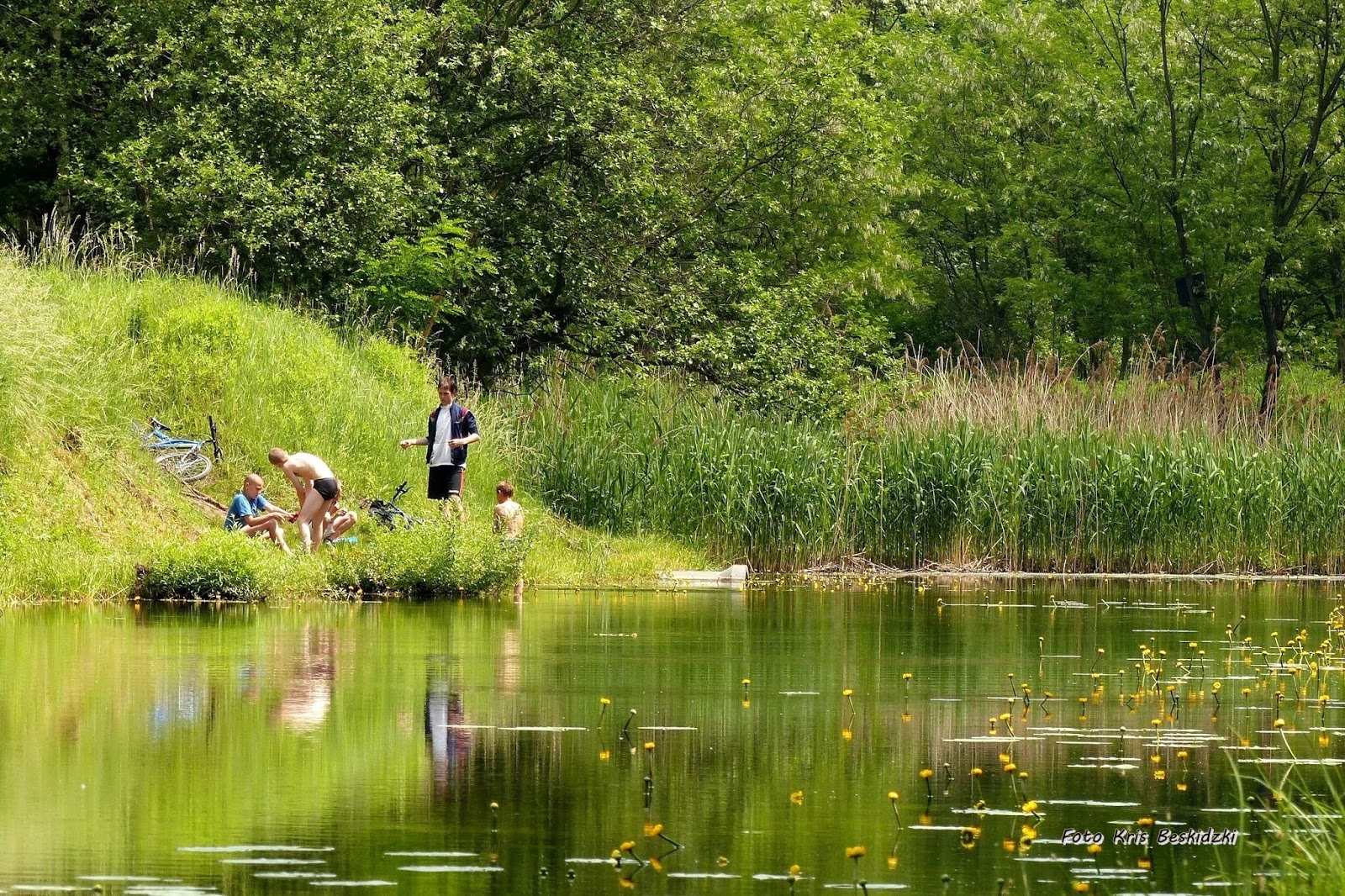 szlaki i bezdroża: Bytom Karb - staw Malek (Maleka)