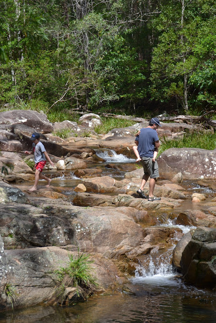Life & Times: Mothar Mountain Rock Pools at Woondum National Park