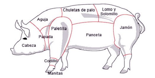 Descubre los más deliciosos cortes de cerdo para comer | DEGUSTA peruano