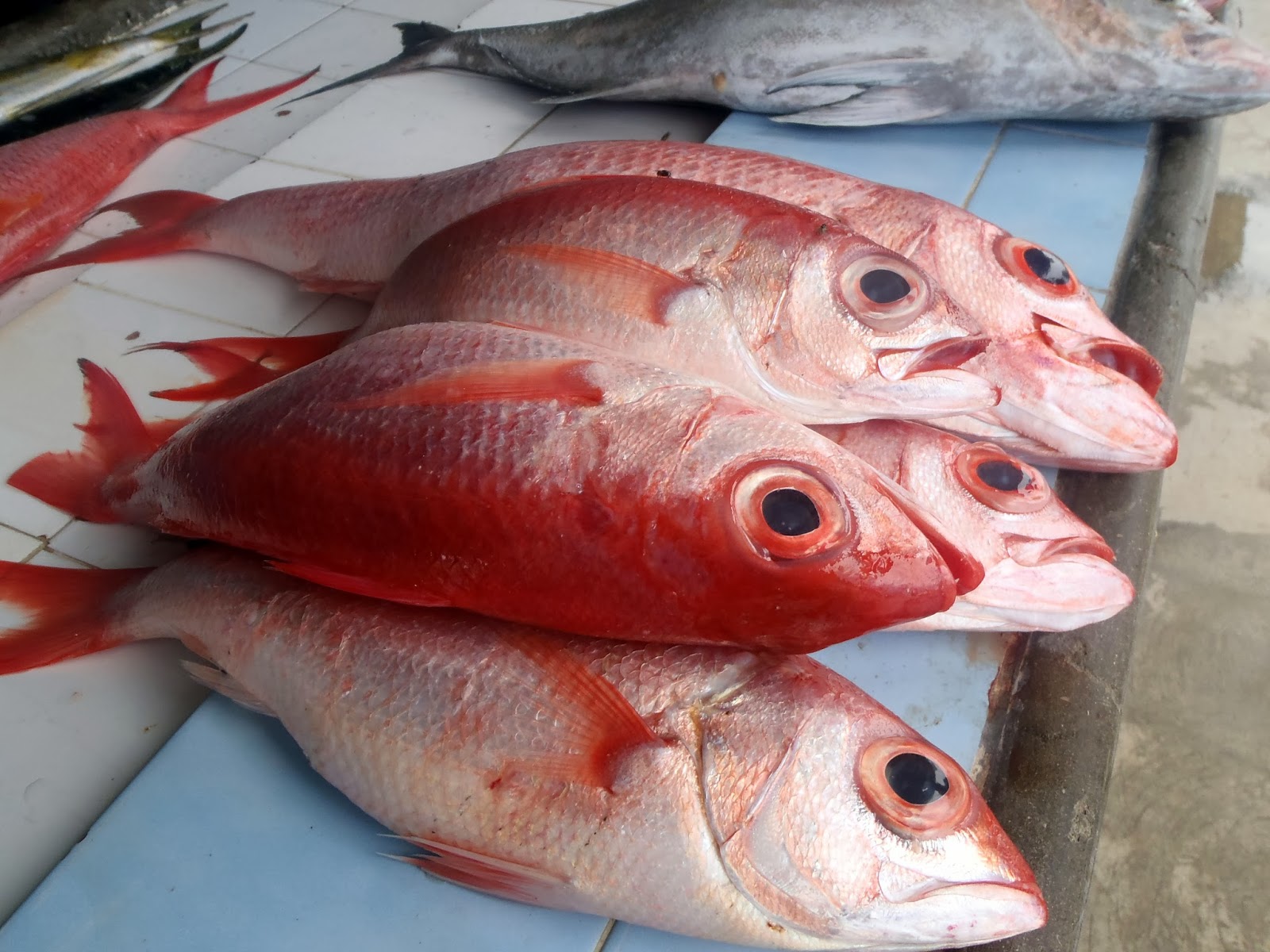 Home Cooking In Barbados