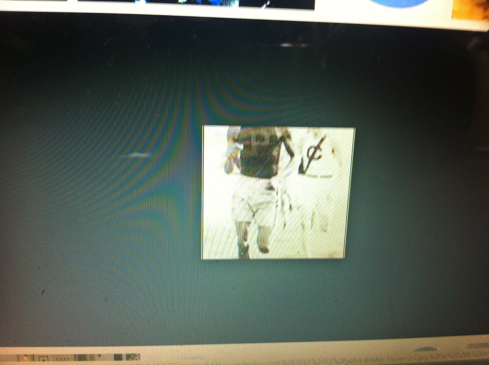 THE BLACK SOCIAL HISTORY:: BLACK SOCIAL HISTORY : AFRICAN AMERICAN ...