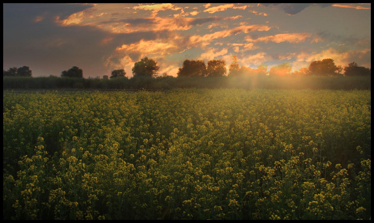 free wallpicz: Desktop Wallpaper 640x480