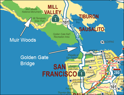 Muir Woods Monument - The Redwood Forest: Location of Muir Woods