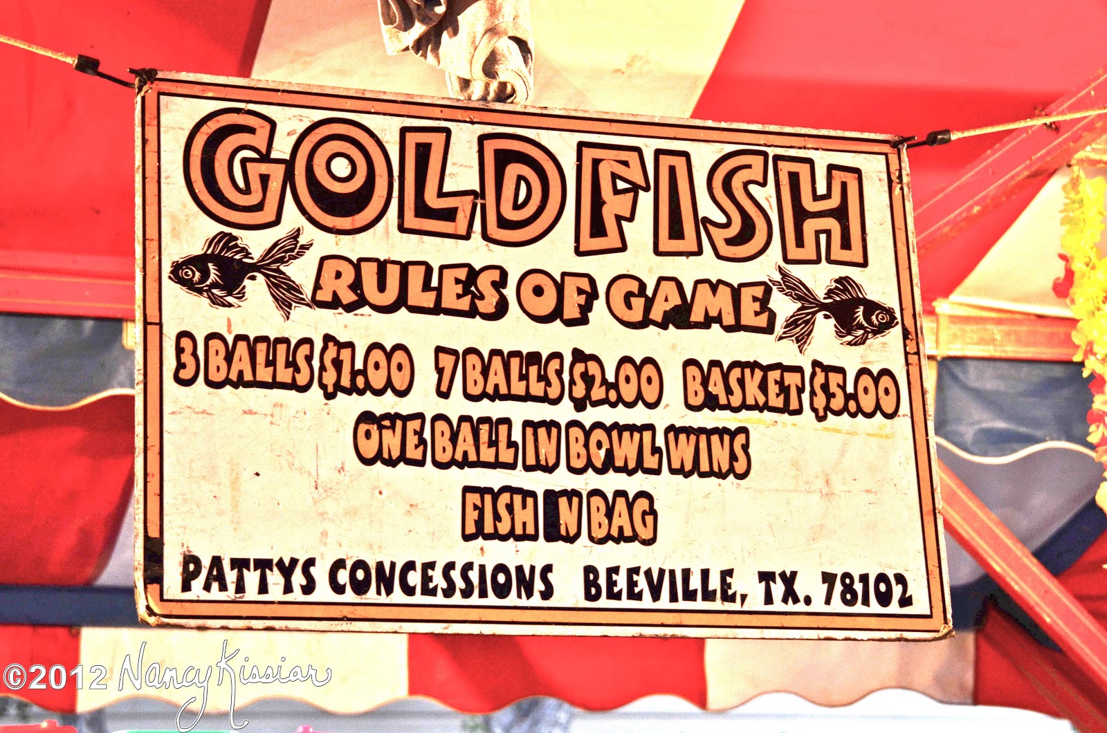 Wild About Texas: Guadalupe County Fair 2012