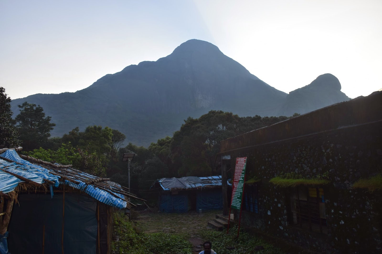 Kerala Trekking and Hiking (TREE Club): 005-Agasthyakoodam Trekking_08 ...