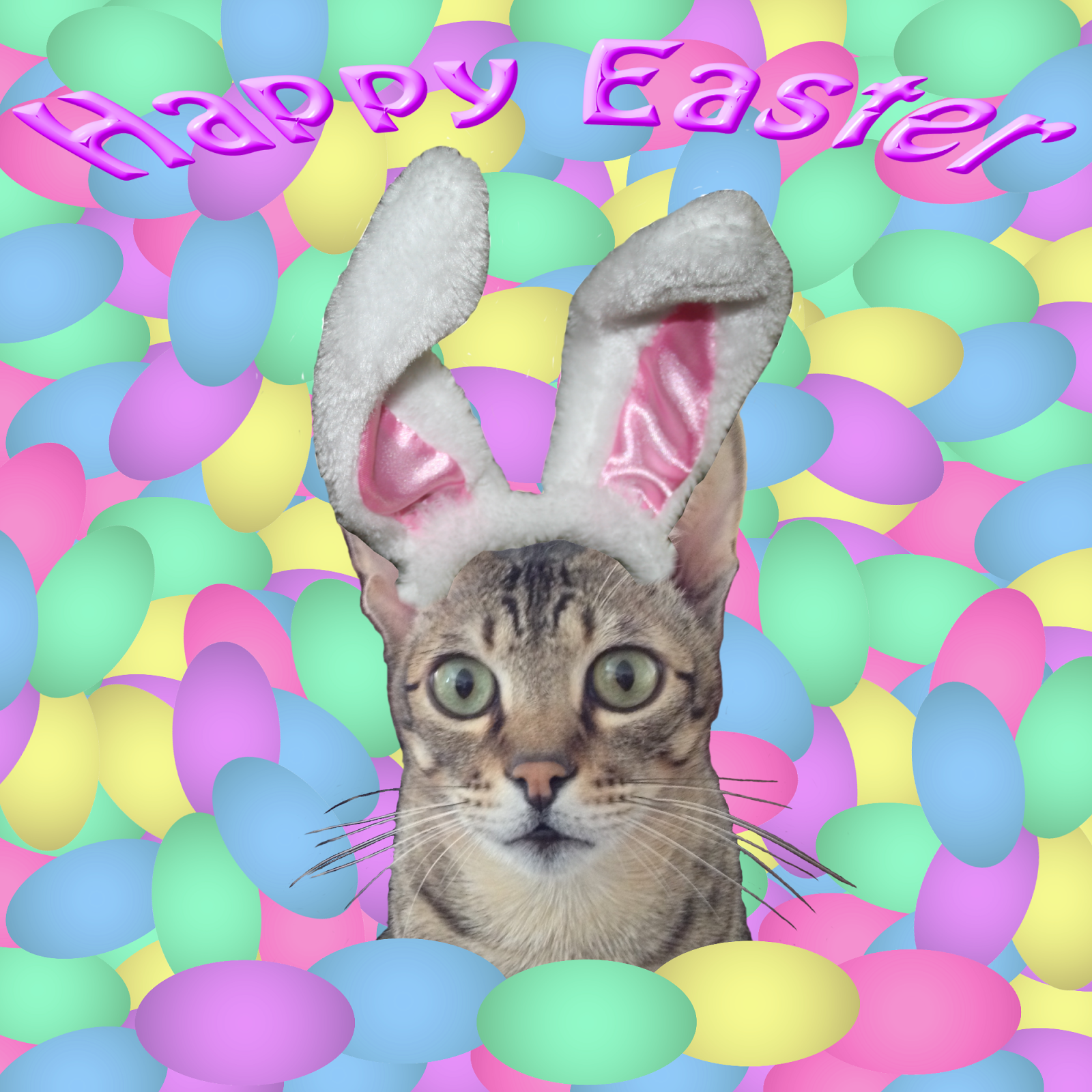 Bengal Cat Domination: Happy Easter Friends