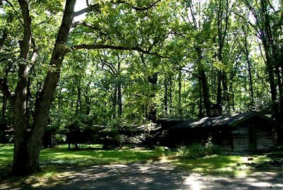 RETRO KIMMER'S BLOG: HARRY BENNETT PHOTO COLLECTION