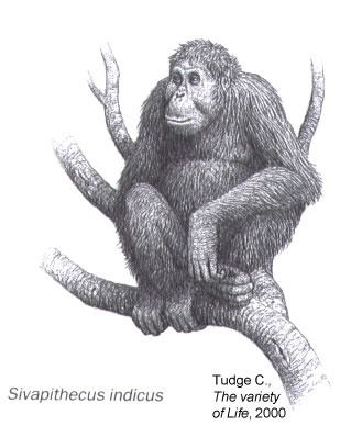 Kriptozoológia - Az állatvilág rejtélyes oldala: Hibagon - A japán ...