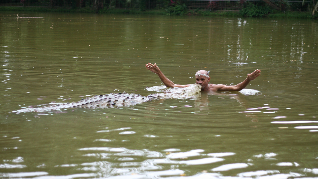 depo: Costa Rica Chito and Pocho The Famous Crocodile Man v2