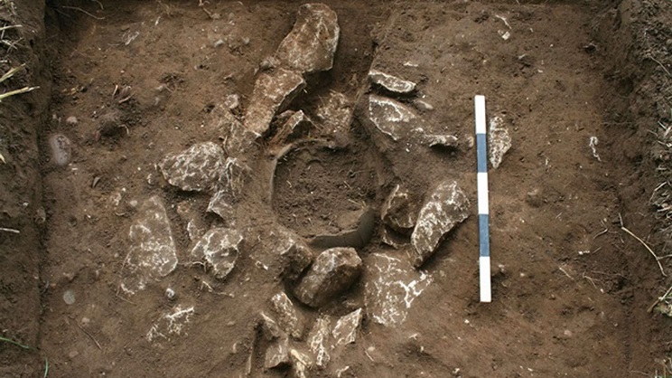 bensozia: 4th-Century Coin Hoard Unearthed in England