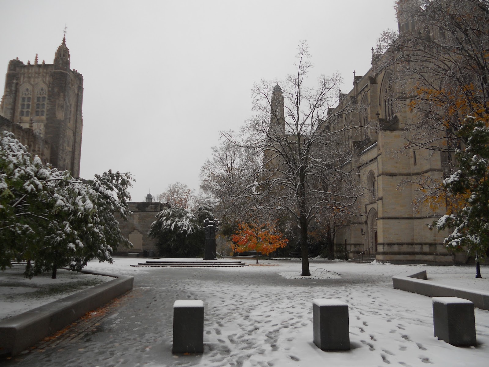 Nature Photography: First Snow at Princeton